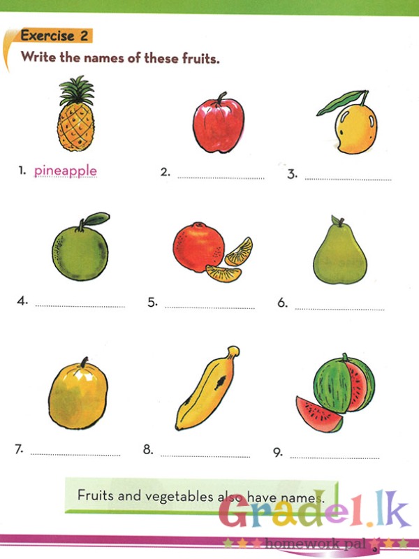 New Enjoying Grammar Part 1 Sipsara Bookshop new-enjoying-grammar-part-1-sipsara-bookshop